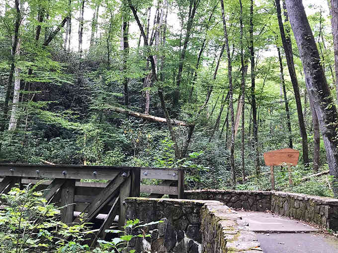 This bridge has seen more seasons change than most of us will ever witness in a lifetime.