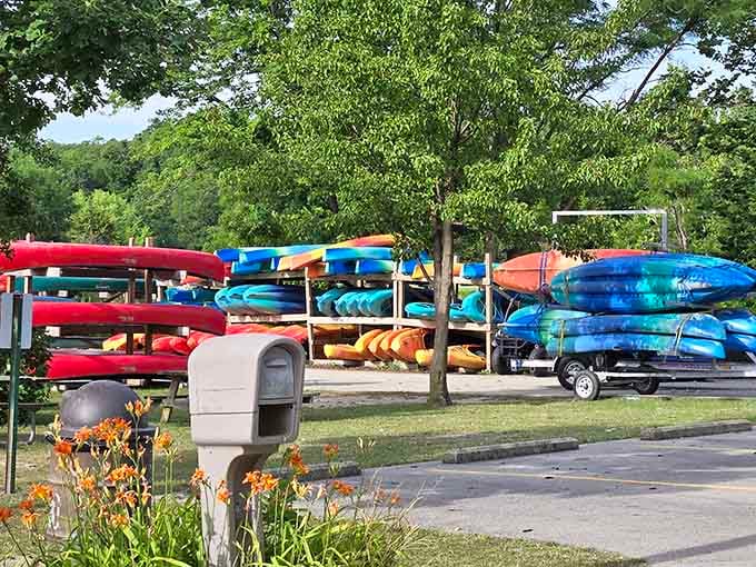 A rainbow of kayaks waiting to launch your next aquatic adventure across these gorgeous Illinois waters.