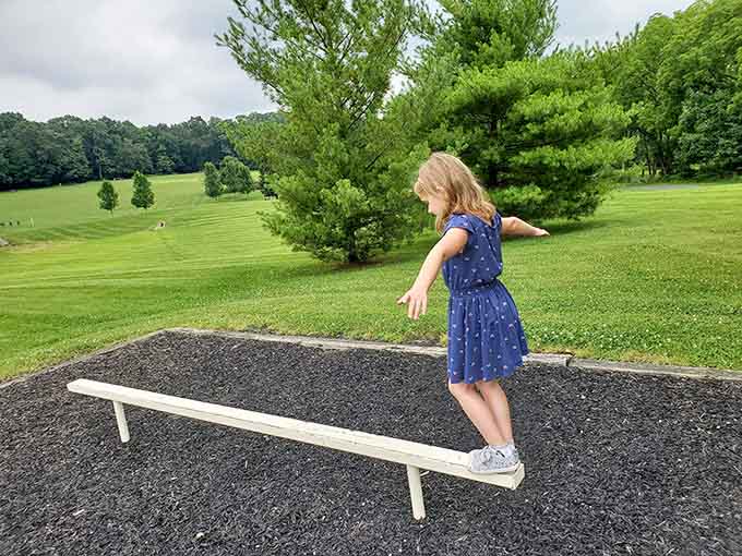 Balance beams turn ordinary park visits into confidence-building expeditions, one careful step at a time.