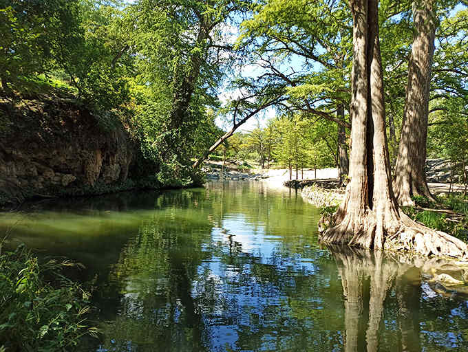 Cypress trees standing in spring-fed water create reflections so perfect, you'll question whether you need those expensive art prints.