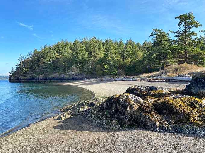 Peaceful shorelines offer the kind of tranquility that makes you forget your phone exists for a while.