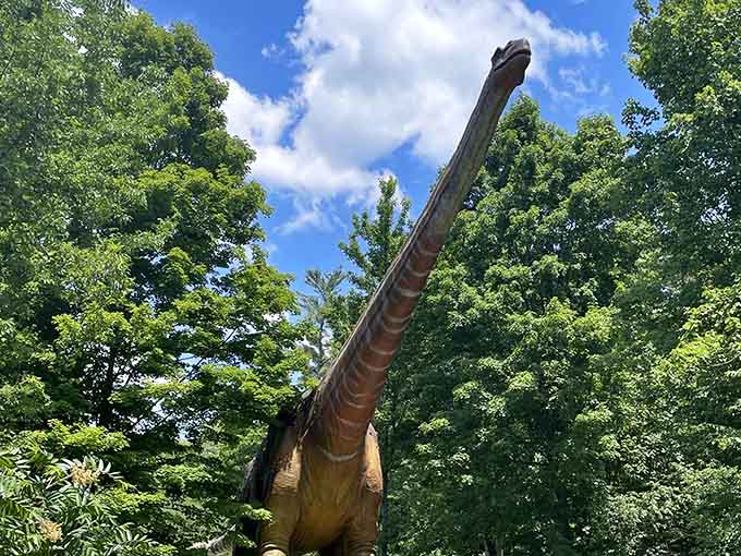 Meet the Brachiosaurus towering overhead, making every visitor feel wonderfully small in the best possible way.
