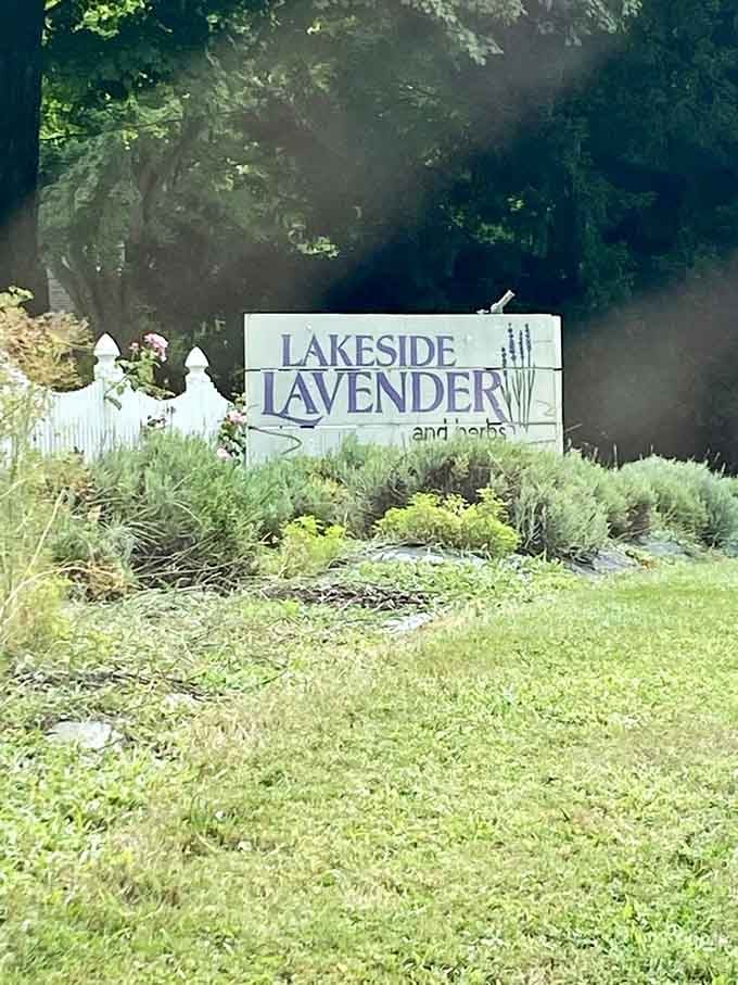 The welcoming roadside sign promises the purple paradise that awaits just beyond those trees ahead.