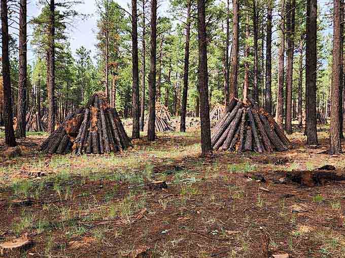 These stacked logs in the forest add a rustic touch to the landscape surrounding this geological treasure.