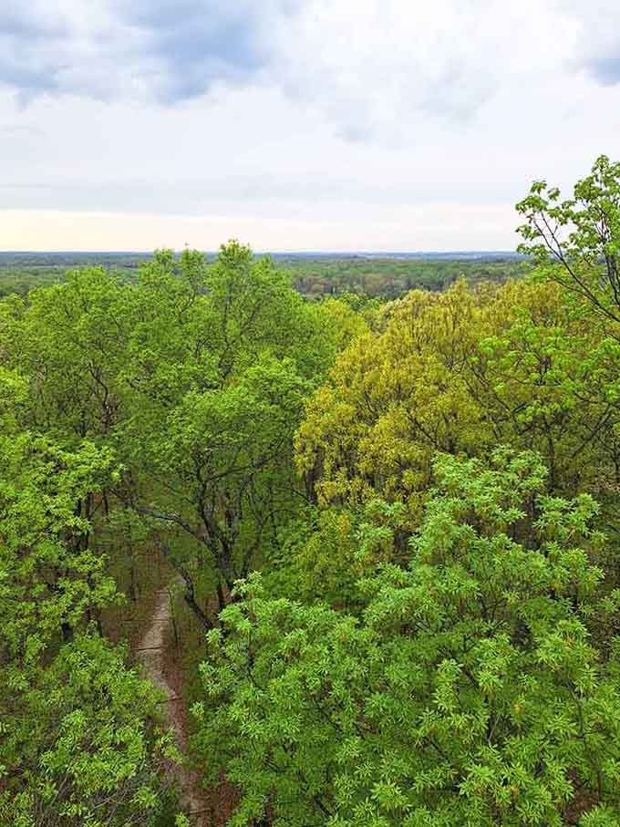 The spring canopy explodes in every shade of green imaginable, like Mother Nature went wild with crayons.