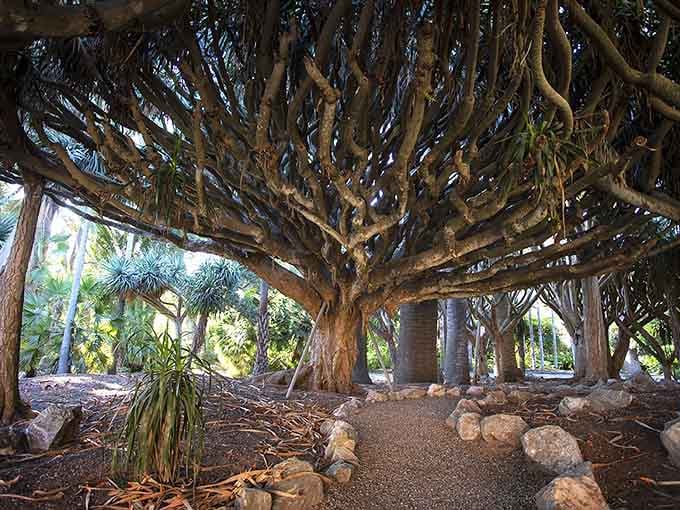 These sculptural topiaries prove that with enough patience and skill, you can turn shrubs into an entire whimsical menagerie.