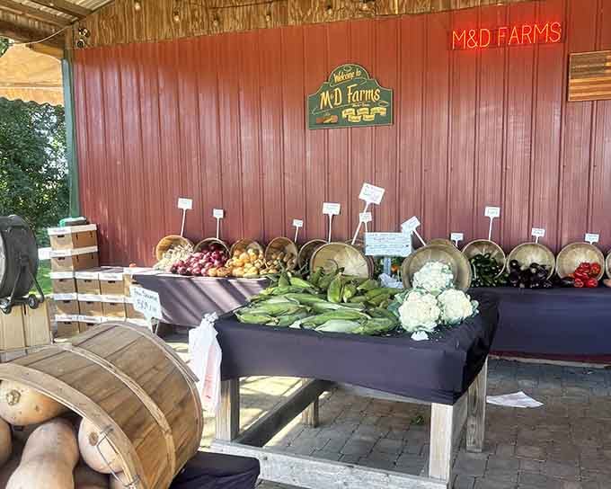 Fresh produce displayed with the kind of pride that tells you these folks actually care about what they're growing.