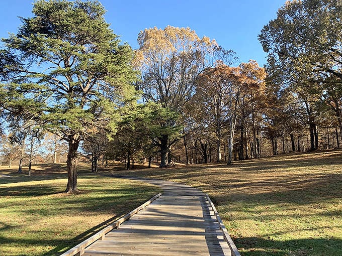 Tree-lined paths through city parks offer proof that green space doesn't have to cost a fortune to enjoy.