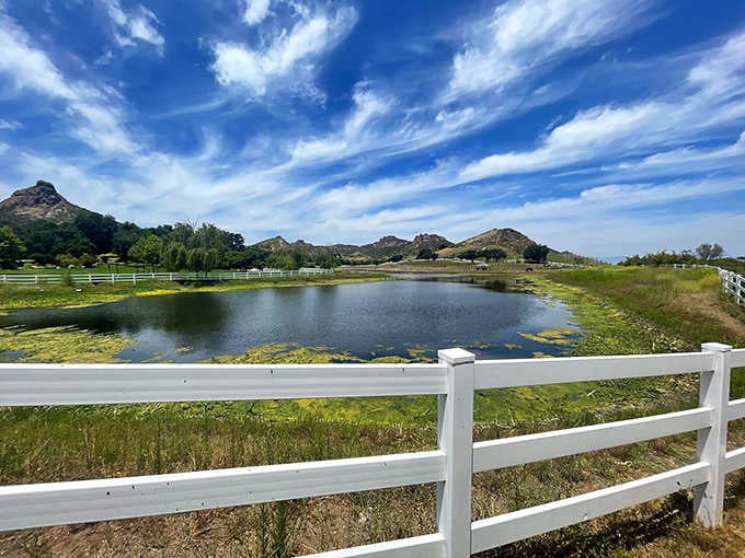 White fencing and a peaceful pond create that classic California ranch vibe without the ranch work.