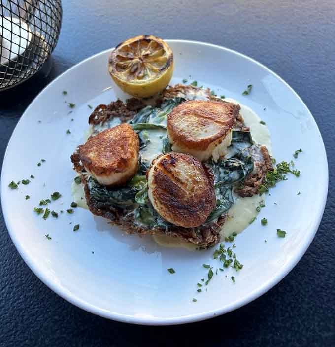 Pan-seared scallops nestled on creamy spinach look like they're posing for their own cookbook cover, honestly.