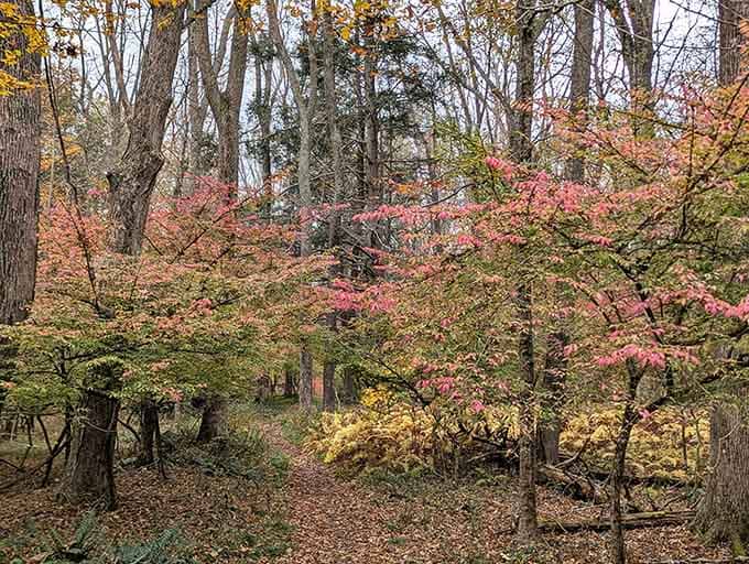 Fall colors that make you understand why people write poetry about New England autumns every single year.