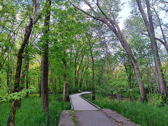 Winding paths through tall trees create the kind of scenery that makes your daily commute seem criminal.