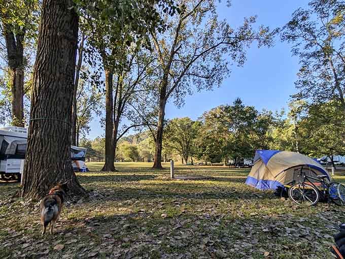 Camping here means waking up to trees instead of traffic &ndash; a trade most of us should make more often.