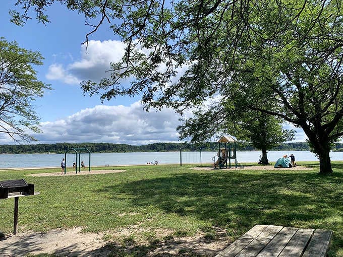Shaded waterfront spots offer front-row seats to nature's daily show, no ticket purchase necessary for this performance.