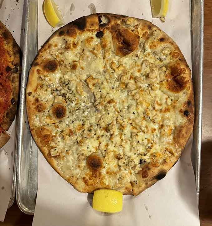 White clam pizza with garlic and olive oil is the ocean meeting dough in perfect harmony.