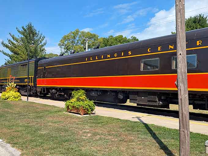 Illinois Central cars gleaming in the sunshine remind you that our state's railroad heritage runs deeper than deep-dish pizza.