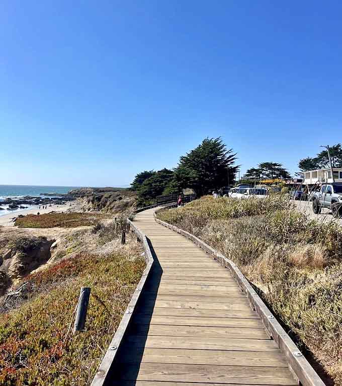 The boardwalk curves gracefully through coastal vegetation, making every turn reveal something new and wonderful.