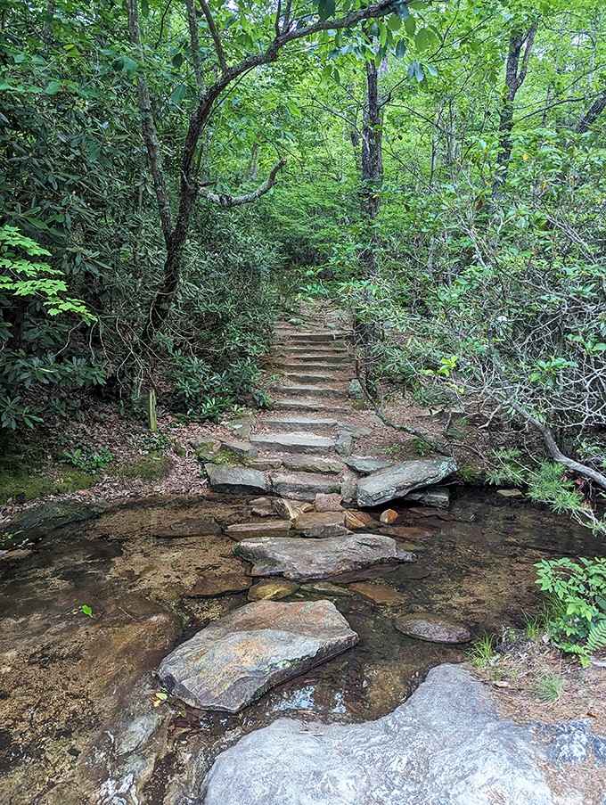 Stone steps cross the creek like nature's own stairway, proving that even water features can't stop a determined trail.