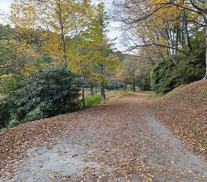This trail through autumn leaves makes you understand why people write poetry about fall in Carolina.