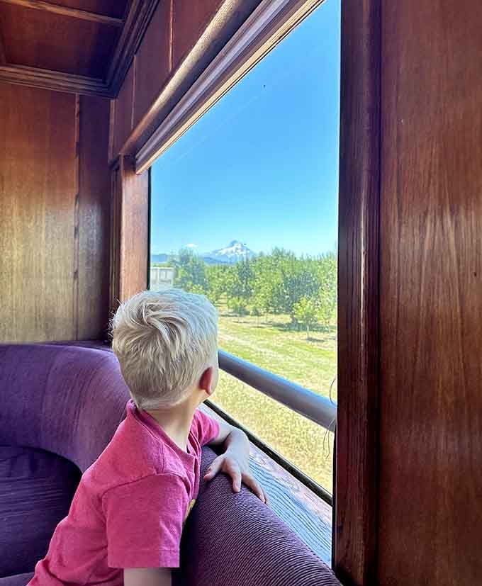 Pure wonder pressed against glass, watching orchards and mountains roll by at the perfect speed for daydreaming.