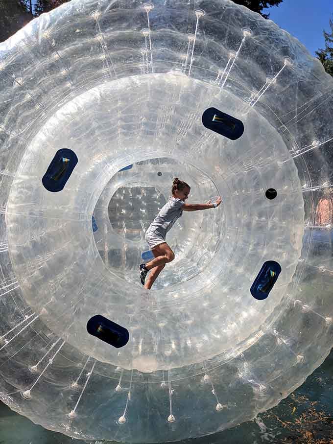 Inside that giant inflatable ball, physics becomes optional and laughter becomes mandatory for everyone watching.