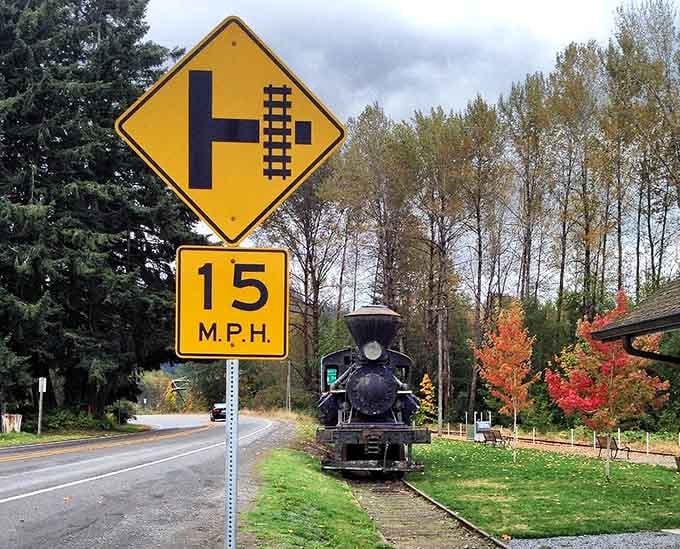 Fifteen miles per hour never felt so thrilling, proving that sometimes slower really is infinitely better than faster.