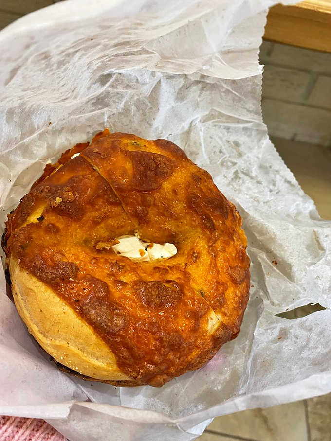 A cheddar jalape&ntilde;o bagel that brings the heat and the cheese, looking like it means serious breakfast business.