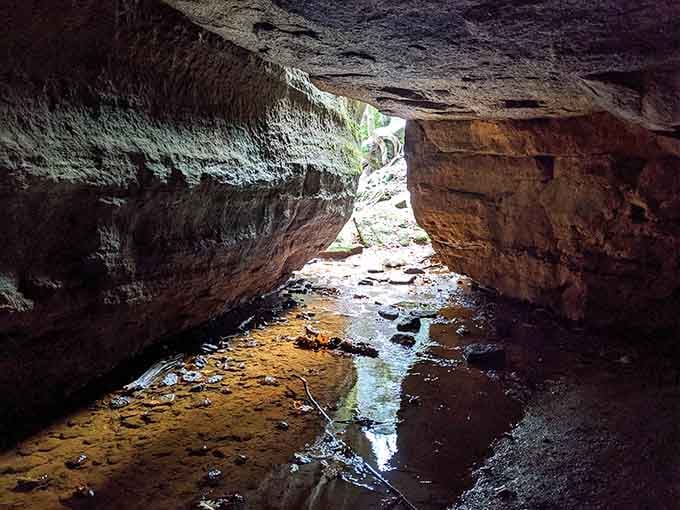 Emerging from darkness into light, this cave opening frames the forest like a natural photograph.