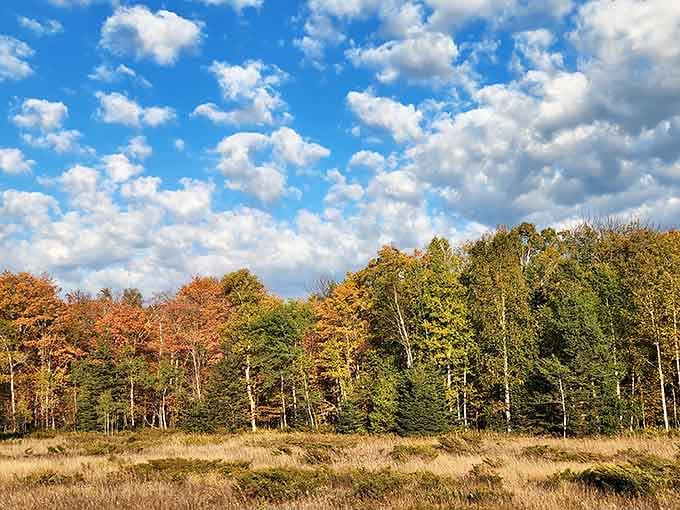 Fall colors transform the park into a painter's palette, proving every season has its own magic here.