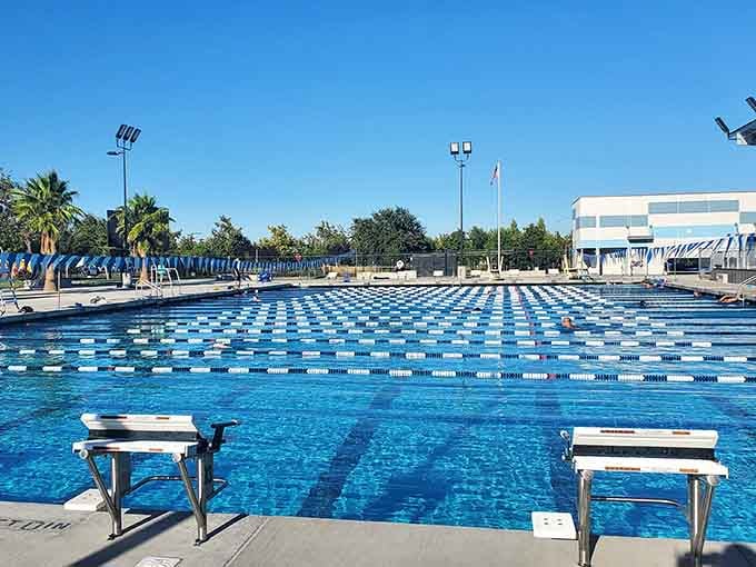An Olympic-sized aquatic center proving this park takes its recreation more seriously than most people take anything.