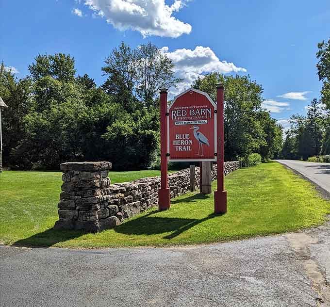 The Red Barn Wetland Preserve offers peaceful trails where nature takes center stage and cell phones become irrelevant.