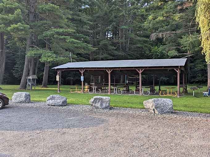 Fortin Park's covered pavilion is perfect for community gatherings where neighbors actually become friends, not strangers.