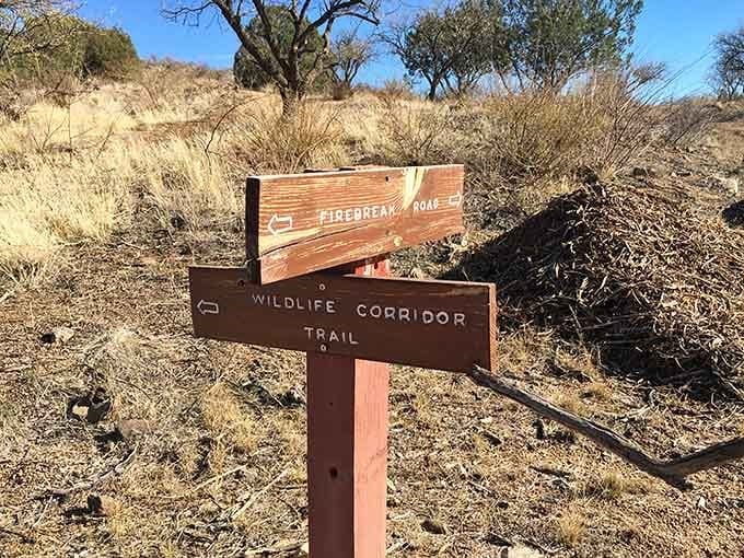 Multiple trail options mean you can choose your own adventure, from casual stroll to serious workout session.