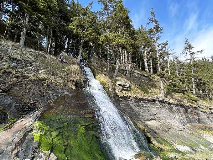 Even the waterfalls here can't resist showing off, tumbling over moss-covered rocks like they're auditioning for a nature documentary.