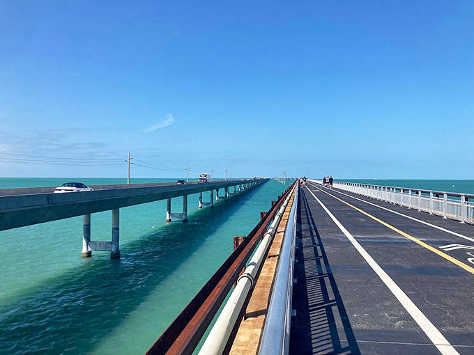 Two bridges, one old and one new, proving that even infrastructure can have a graceful retirement plan in Florida.