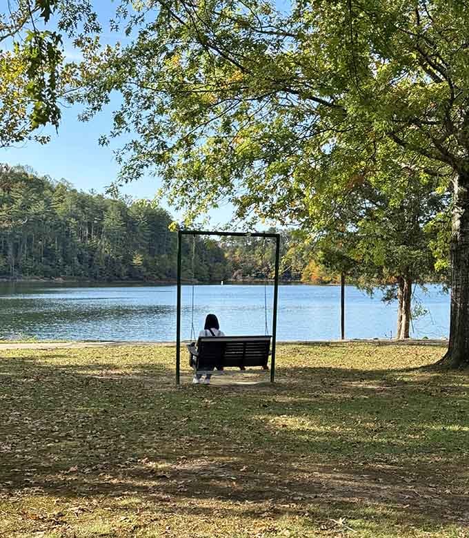 Sometimes the best seat in the house is a simple swing overlooking water that sparkles like diamonds.