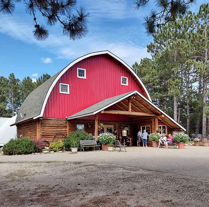 This charming red barn theater brings entertainment to Park Rapids with performances that draw crowds from miles around the region.