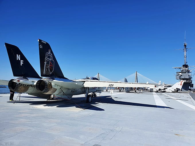 The F-14 Tomcat's swept wings and imposing presence explain why Top Gun made it a star of the silver screen.