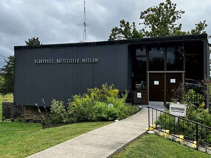 Modern architecture housing centuries of stories, because history museums don't have to look dusty anymore.