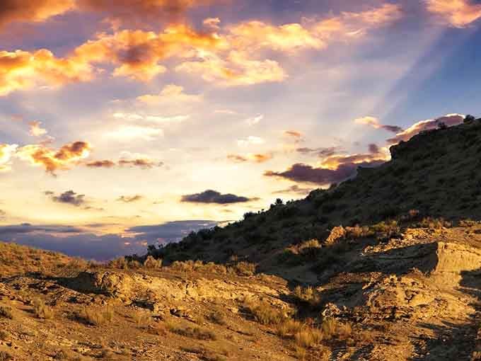 Golden hour paints the desert in colors that no filter could ever replicate, making every photographer's heart skip a beat.