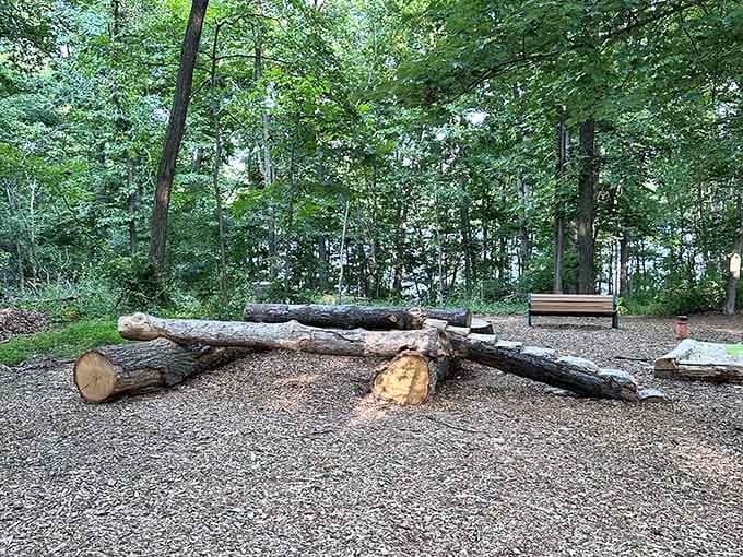 Fallen logs arranged for climbing turn simple timber into a natural jungle gym that requires zero batteries.