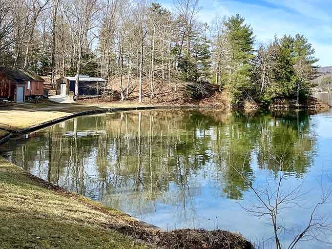 Lake Onota's mirror-like reflections create postcard moments you can actually afford to live near year-round.