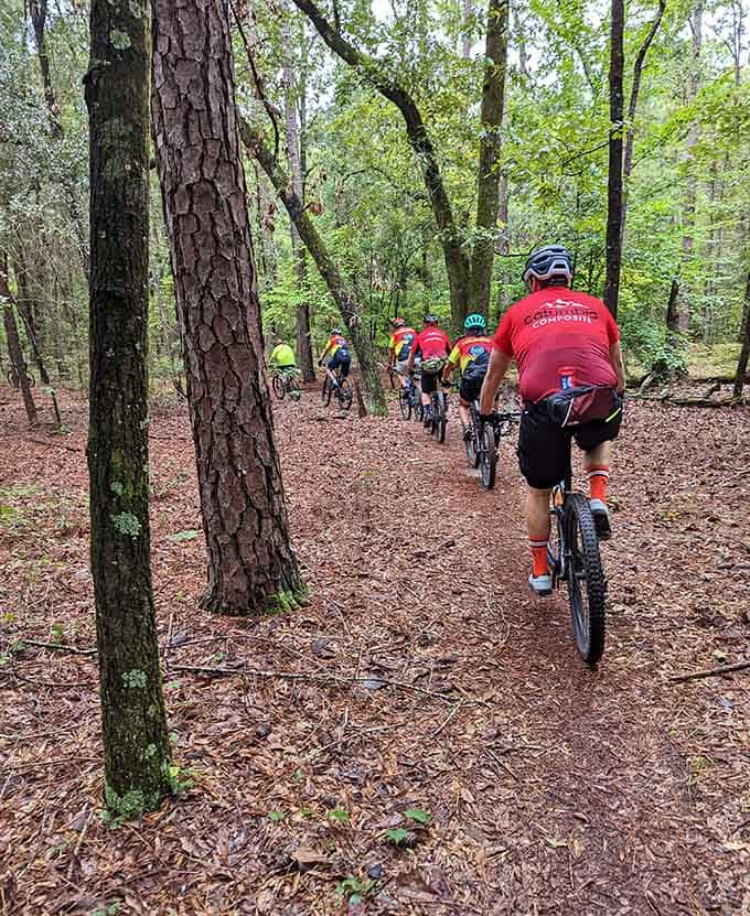 Mountain bikers discovering that Poinsett's trails offer challenges and scenery worth pedaling through pine needle carpets for.