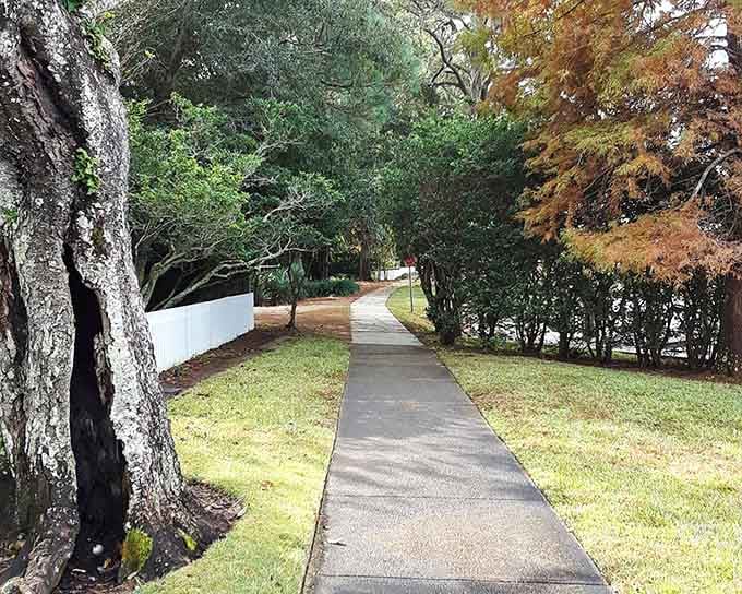 Tree-canopied walkways that turn a simple stroll into a scene from your favorite period drama.