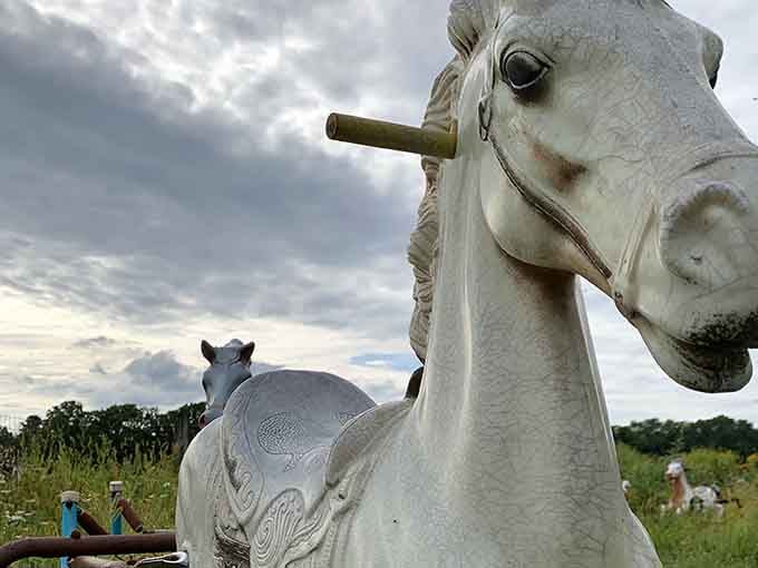This close-up reveals weathered paint and character, each chip telling stories of seasons past and present.