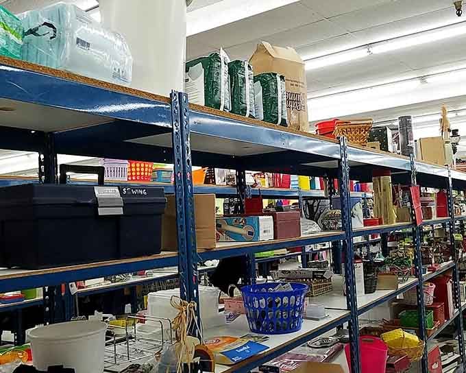 Those blue shelves hold kitchen essentials and random treasures that somehow always end up in your cart anyway.