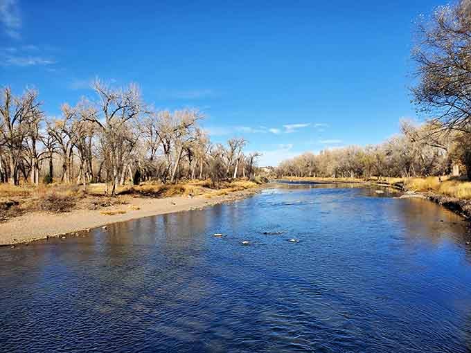 City Park offers green space where you can actually afford to live nearby and enjoy it.