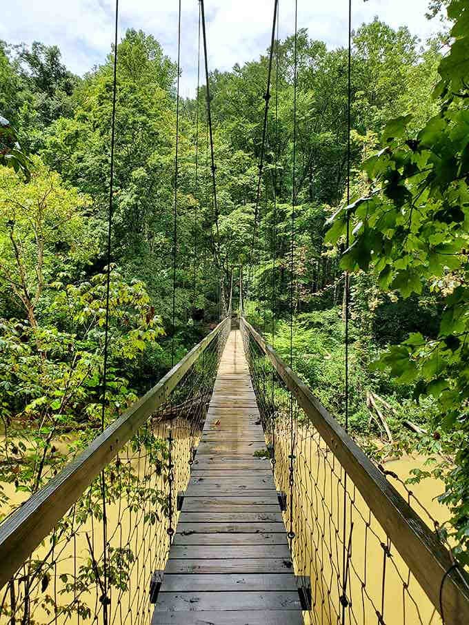 This swaying suspension bridge over muddy water tests your Indiana Jones courage without the rolling boulder, thankfully.