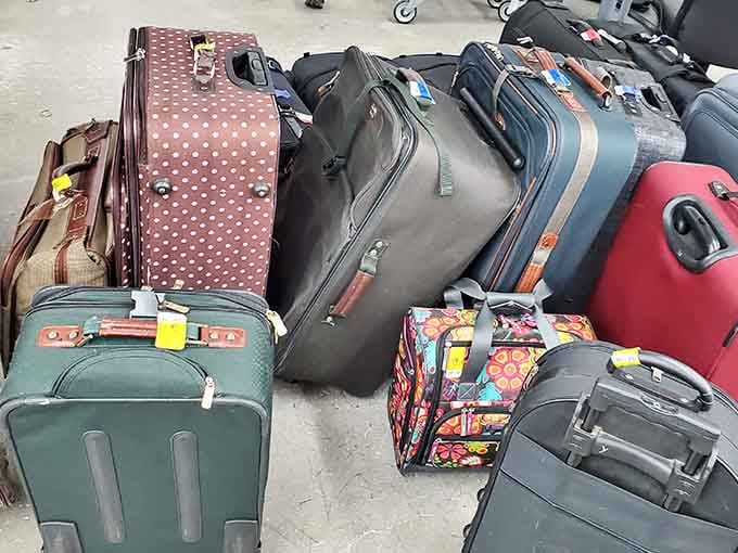 Luggage ready for new journeys, each piece dreaming of airports and adventures yet to come.