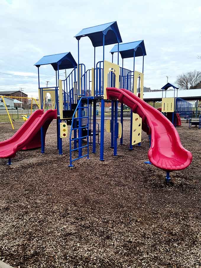 This colorful playground equipment promises hours of entertainment without admission fees, memberships, or hidden costs to parents.
